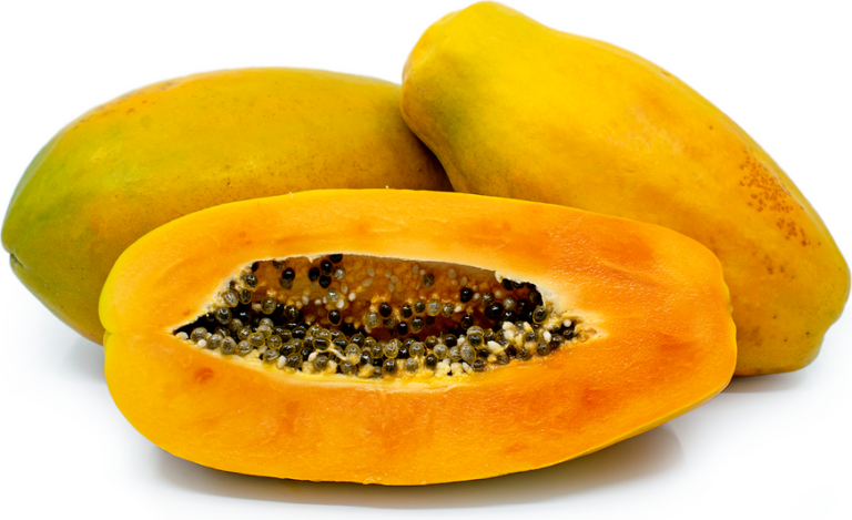 19 Different Types Of Papaya Fruit (With Photos)