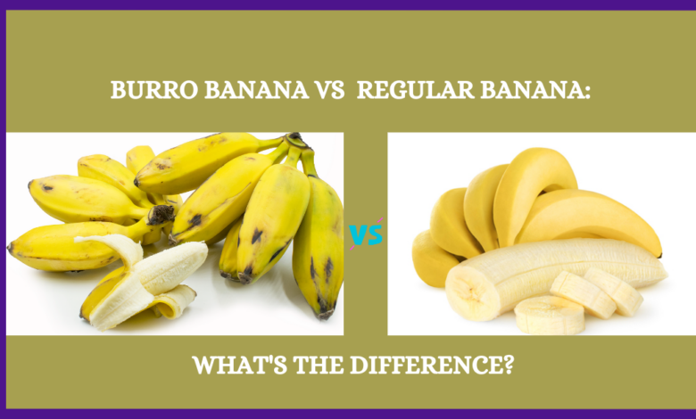 Burro Banana vs Regular Banana: What's The Difference?
