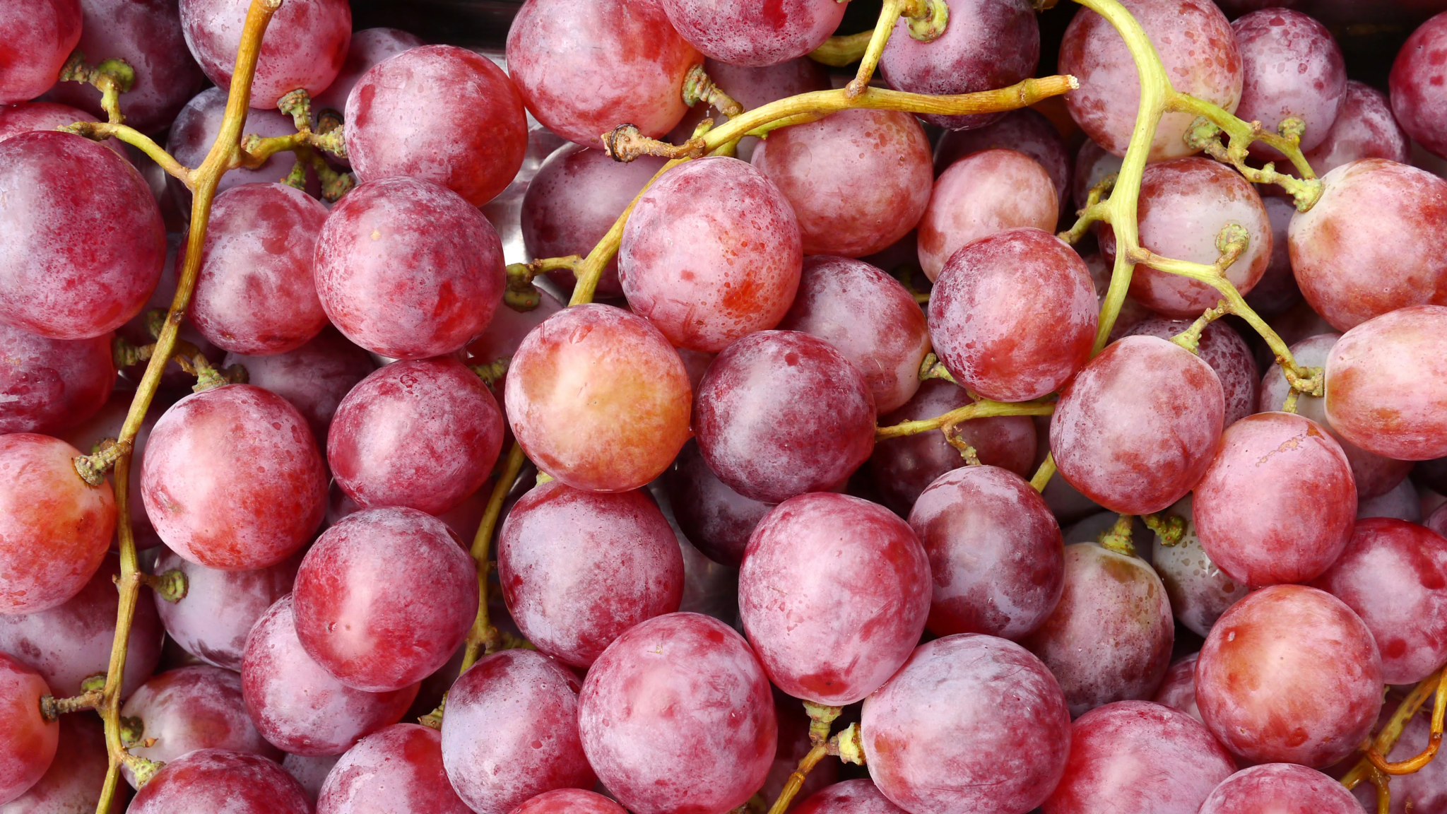 What Is The Sweetest Fruit? 15 Sweetest Fruit Around The World