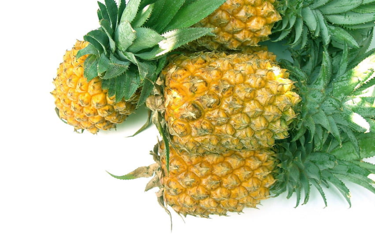 15 Different Types Of Pineapples (With Images)