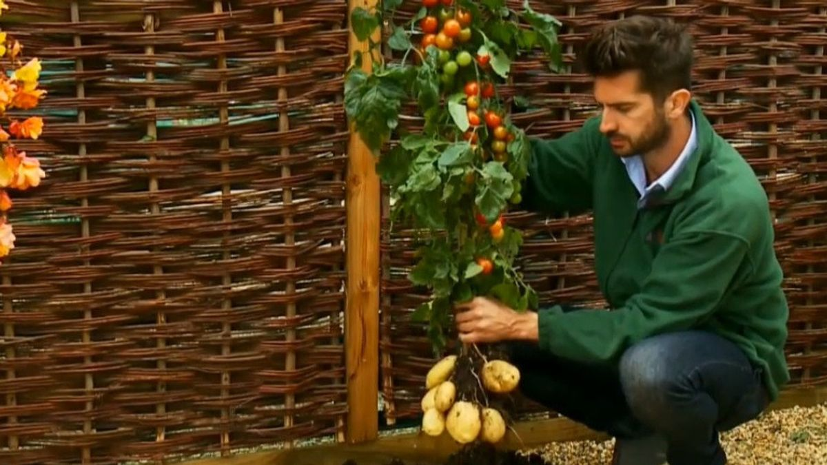 What Are Man-Made Fruits? 30 Fruits That Are Man-Made