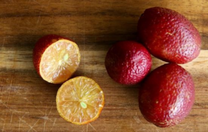 What Are Man-Made Fruits? 30 Fruits That Are Man-Made