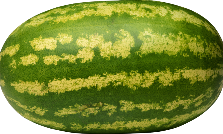 Are There Male and Female Watermelons?