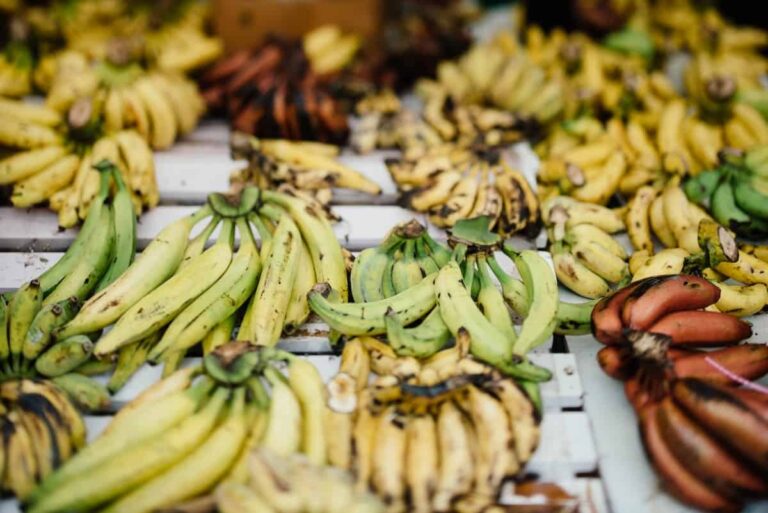 The 4 Different Types of Plantains: Their Differences
