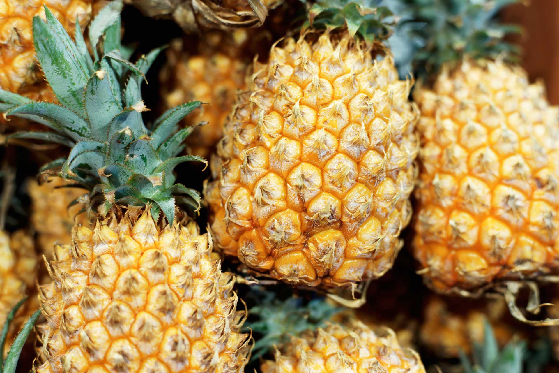 What Is the National Fruit of Puerto Rico? [ANSWERED]