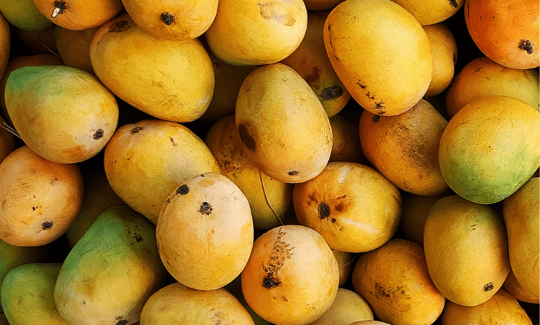 10 Surprising Reasons Why Mango Is Called King Of Fruits