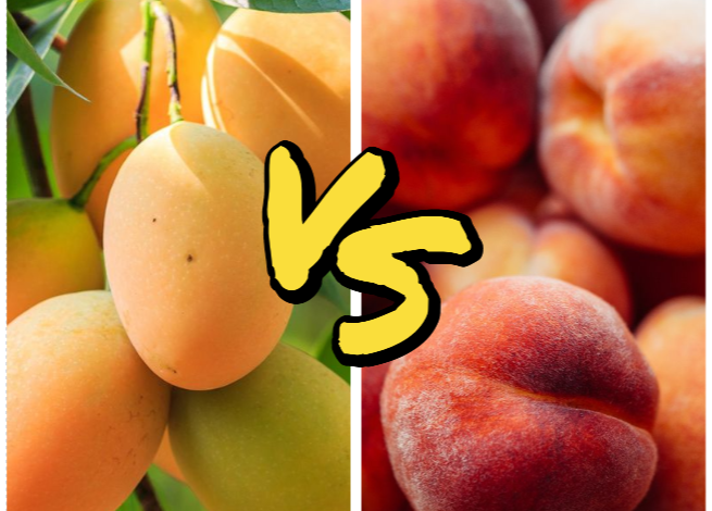 Mango Vs Peach: The Ultimate Comparison