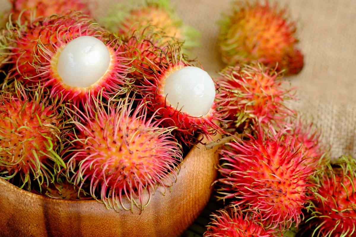 15 Unusual Weird Fruits To Try That Will Blow Your Mind