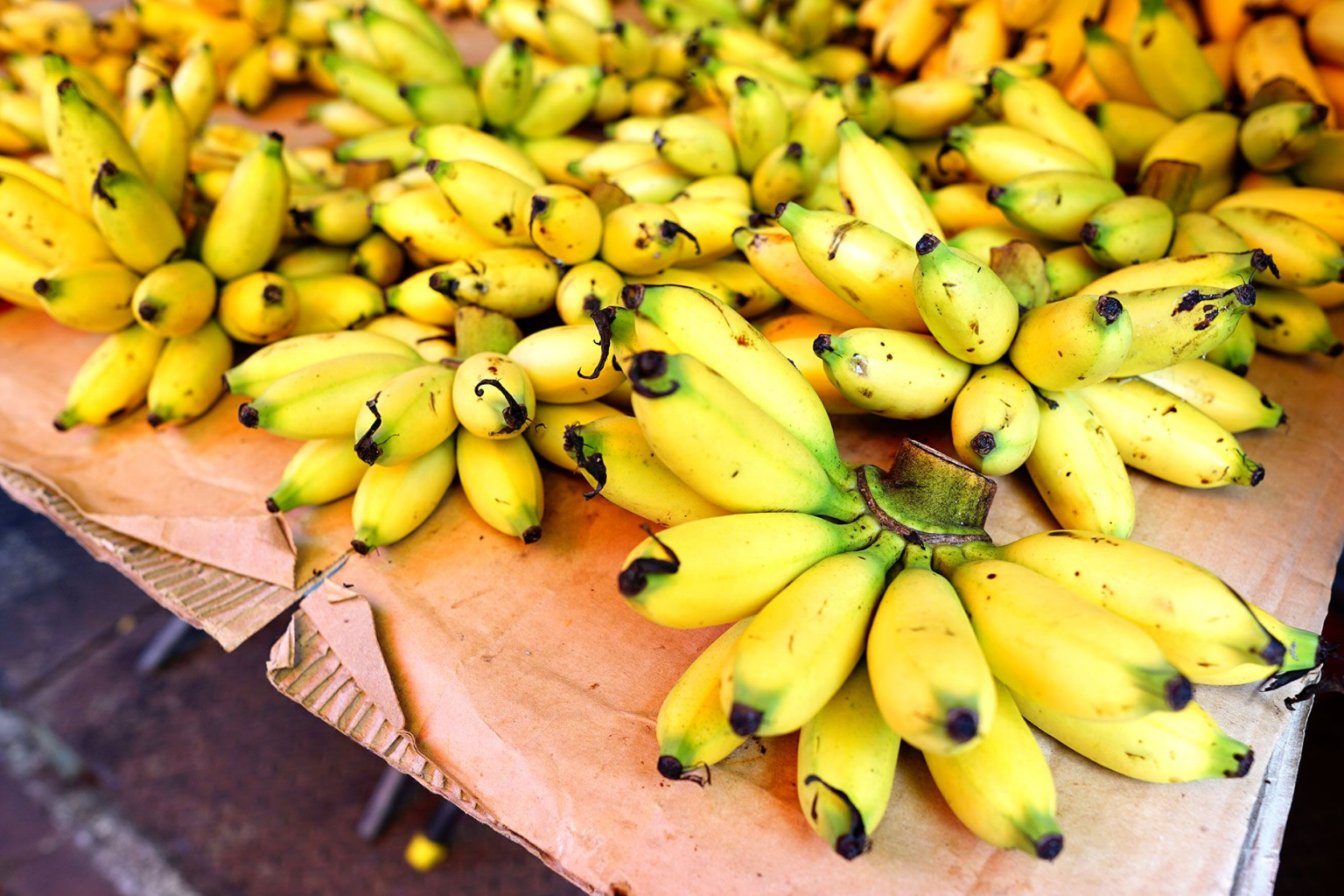 7 Best Tasting Banana Varieties Apart From Cavendish Banana