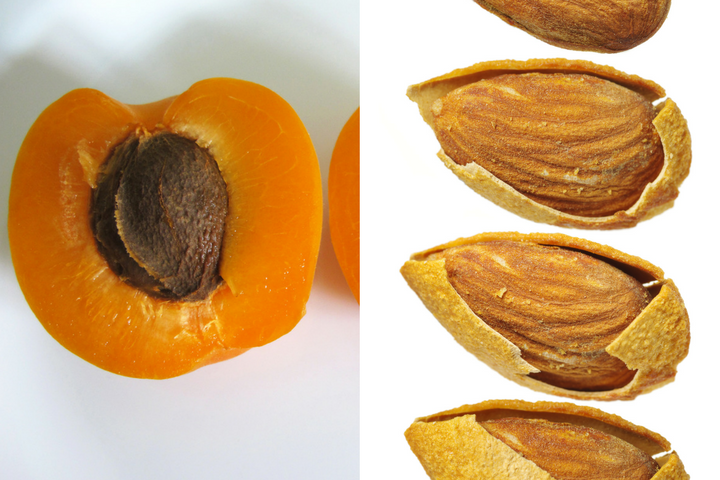 The Top 15 Single-Seeded Fruits [With Pictures]