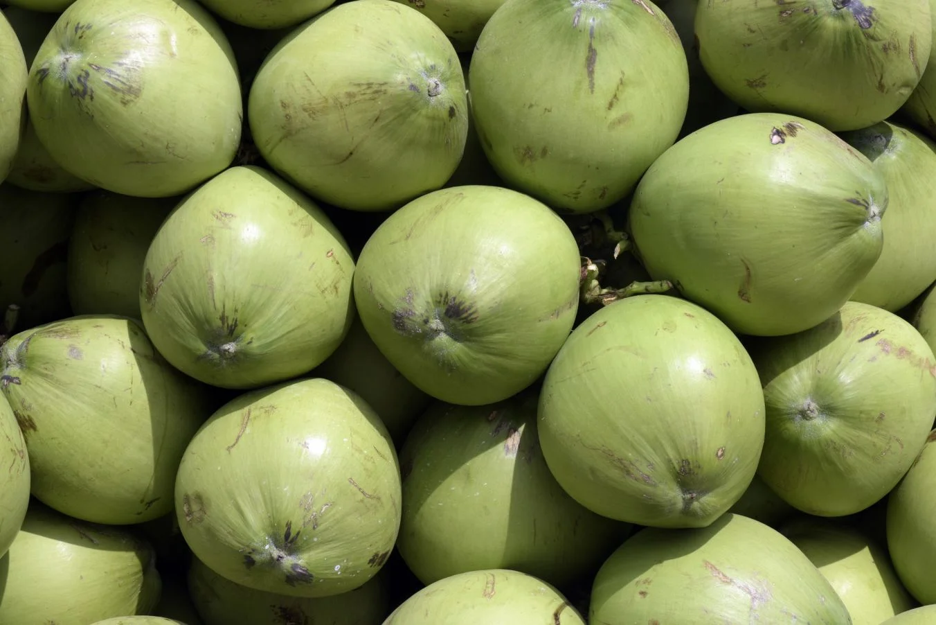 What Is The Oldest Fruit In The World? [Top 15 In History]